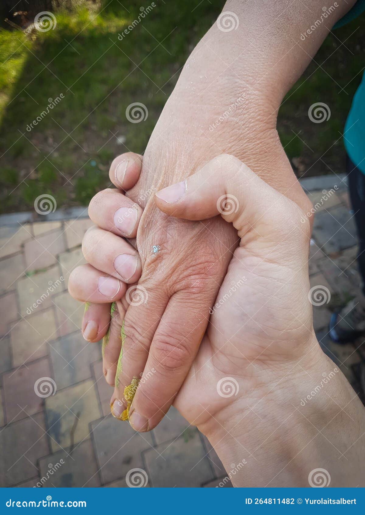 Close Up. the Handshake between Client and Landscape Designer Stock ...