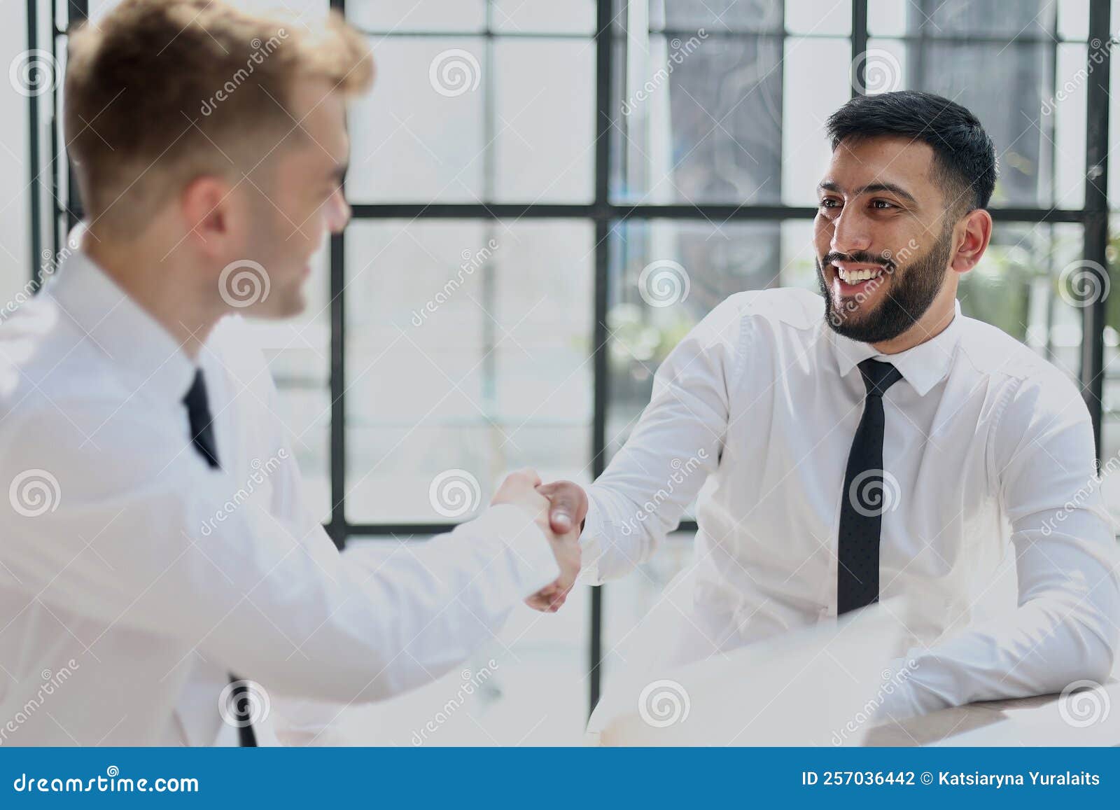 Close Up of Handshake in the Modern Office Stock Photo - Image of deal ...