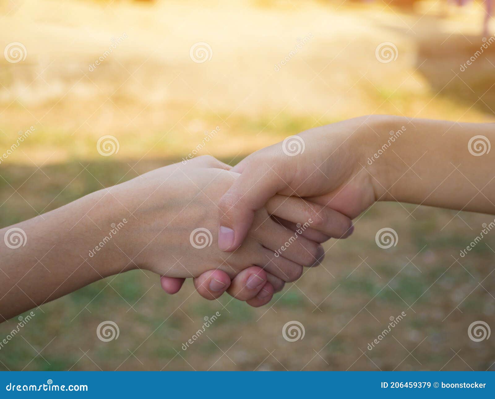 Close-up of Handshake with Nature Background. Space for Text Stock ...