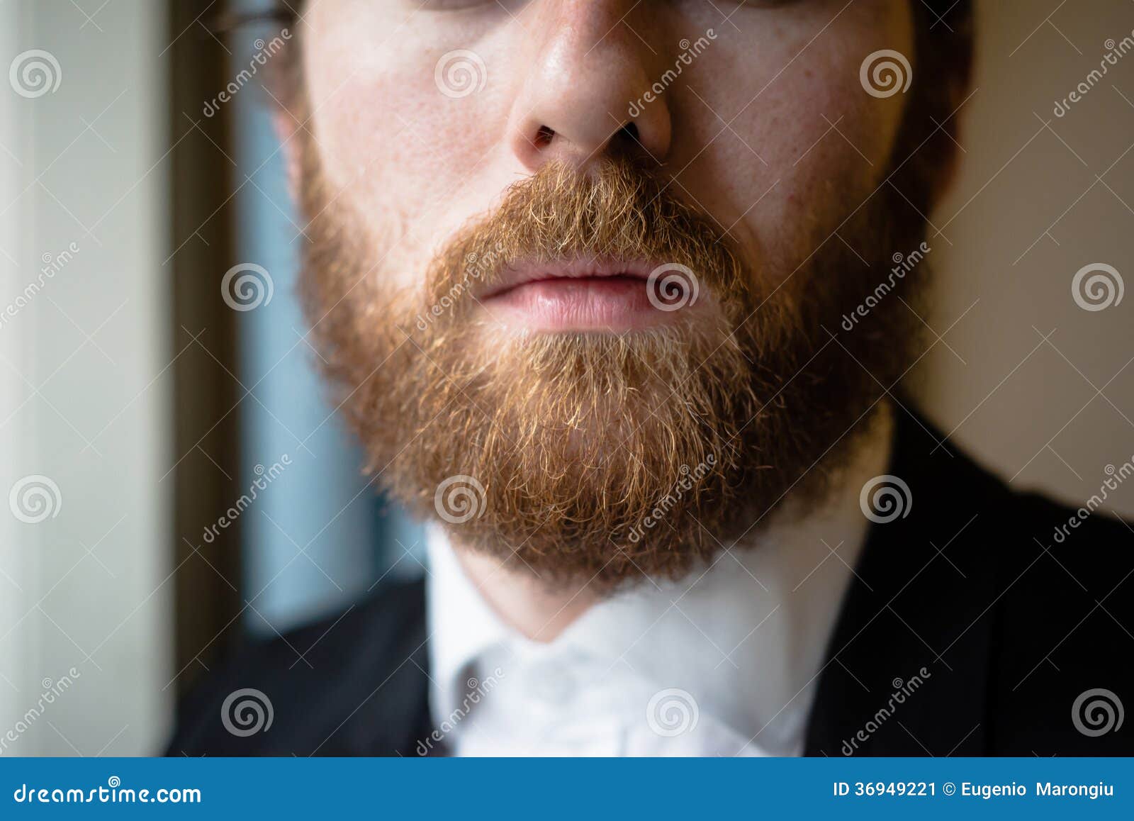 Close Up Handsome Beard Elegant Man Stock Image - Image of portrait ...