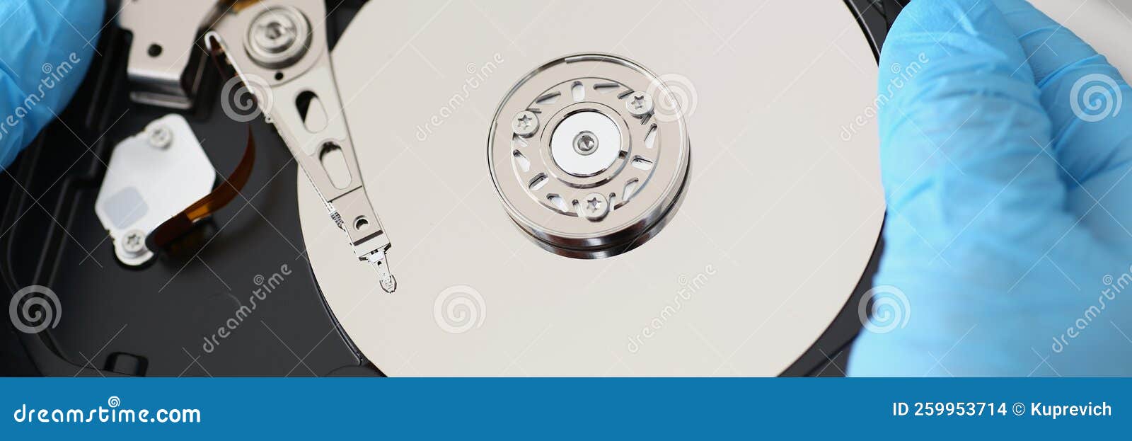 Handyman Hold Disassembled Hard Drive from Computer, Hdd and Reader ...