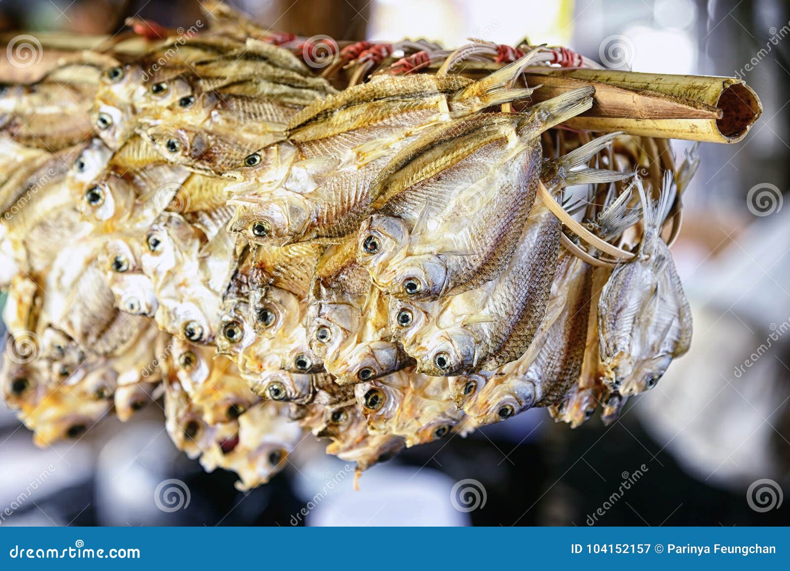 Close Up Hanging Drying Fish Stock Image - Image of fresh, fish: 104152157