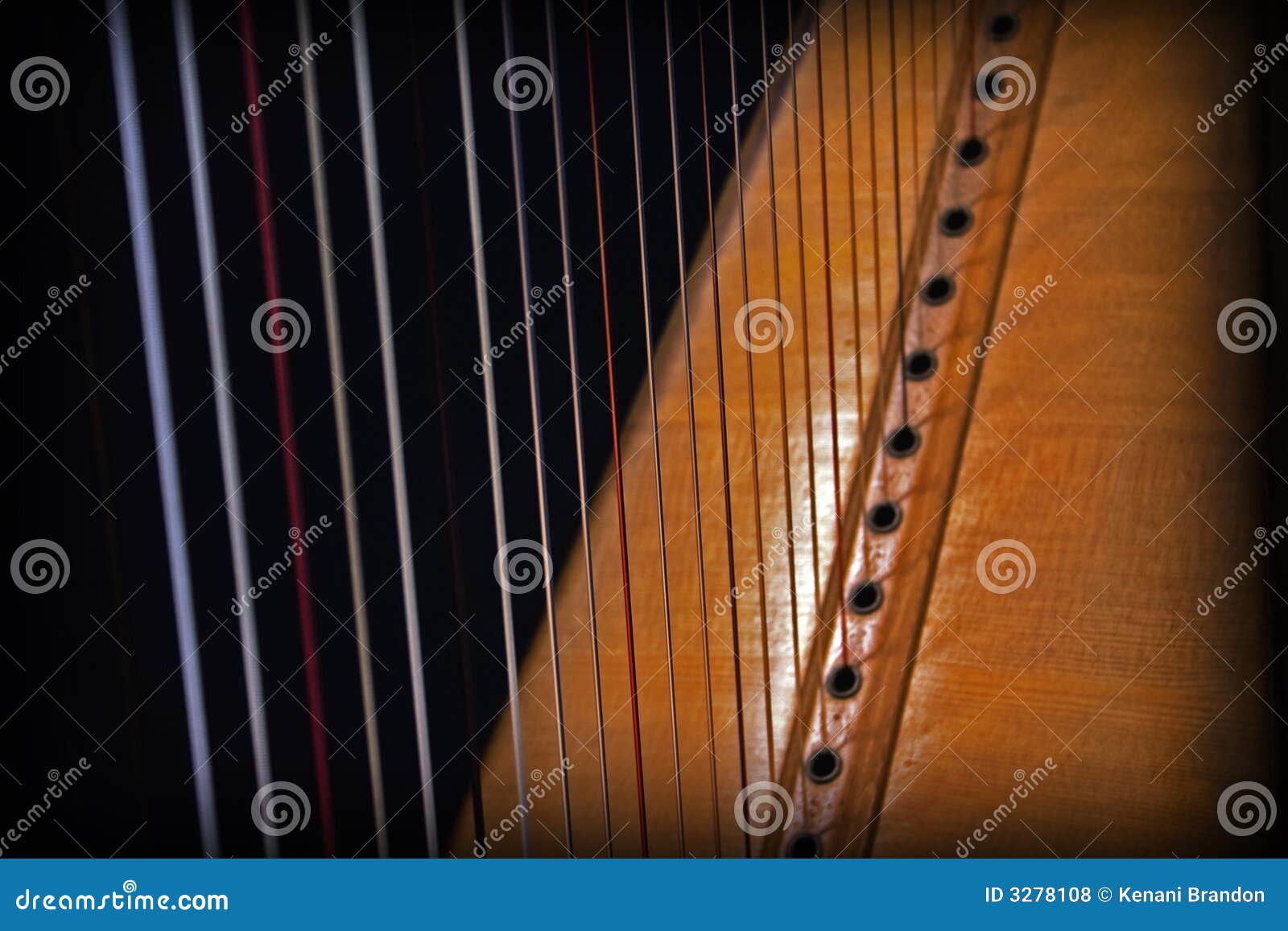 Close up of harp strings stock photo. Image of music, background - 3278108
