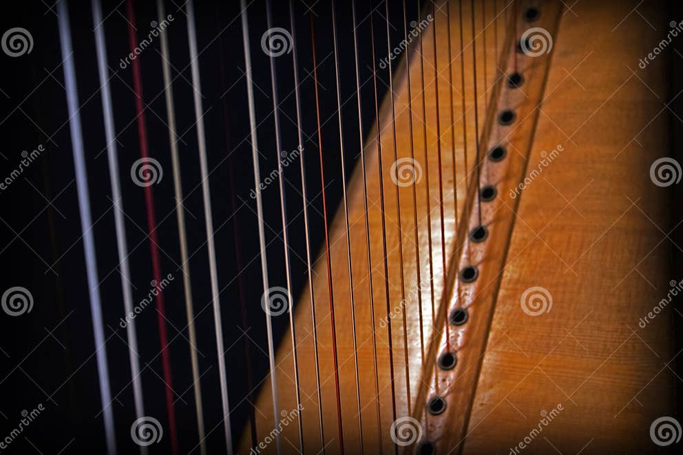 Close up of harp strings stock photo. Image of music, background - 3278108