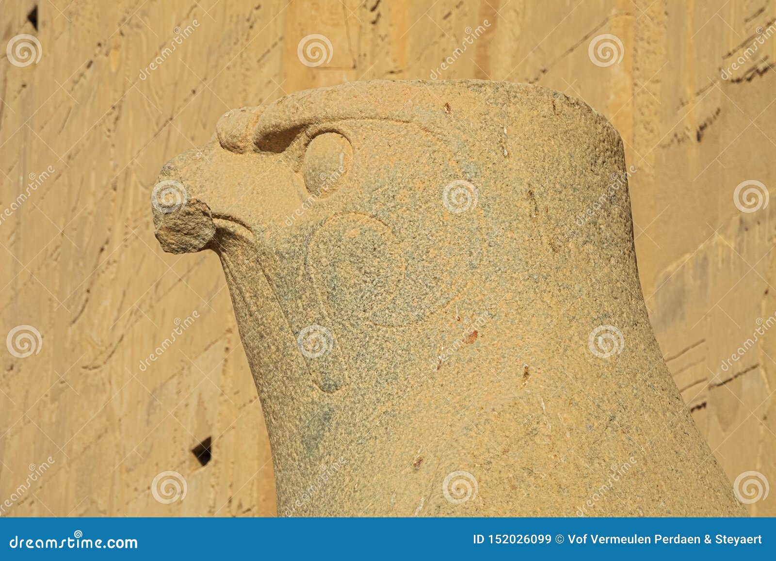 Close Up of the Hawk Head of Horus Stock Image - Image of angle ...