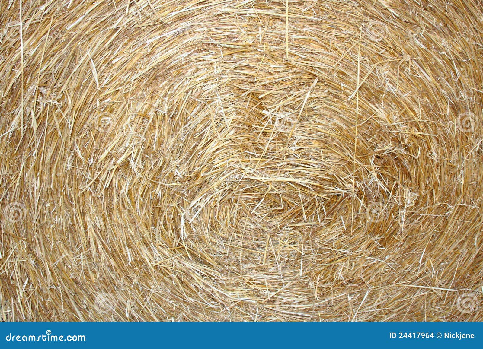 Close up of hay stock photo. Image of flower, blossom - 24417964