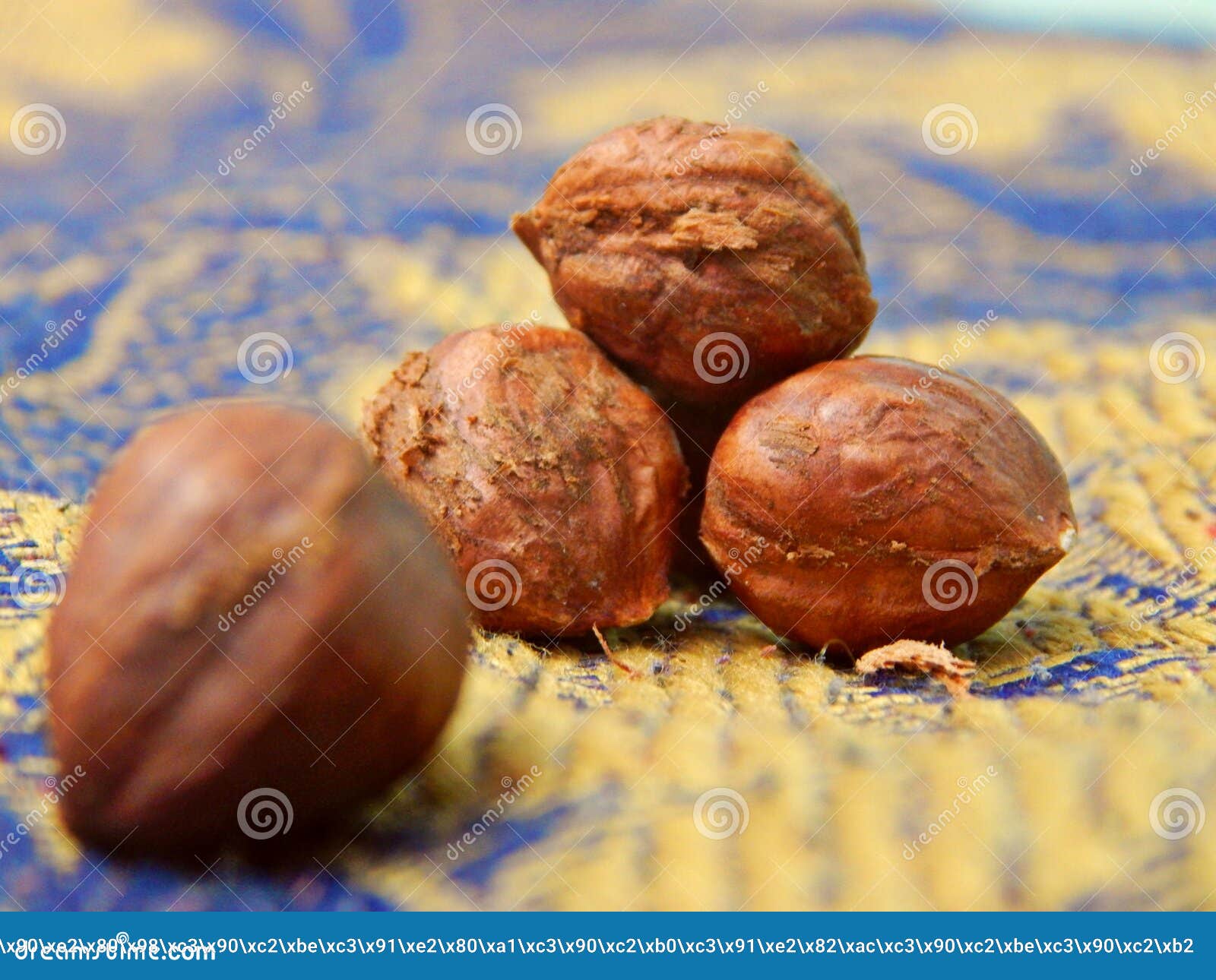 Close-up of a Hazelnut. Close-up of a Forest Nut. a Tower of Three ...