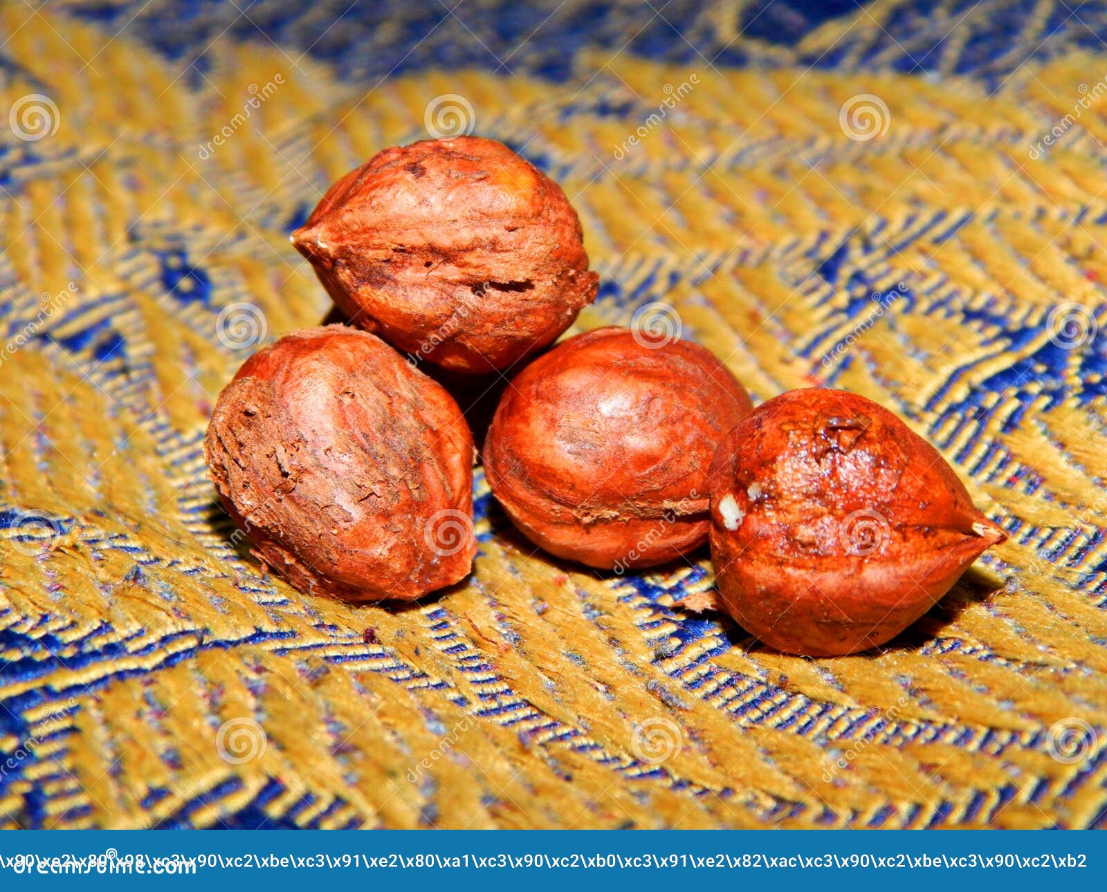 Close-up of a Hazelnut. Close-up of a Forest Nut. a Tower of Three ...