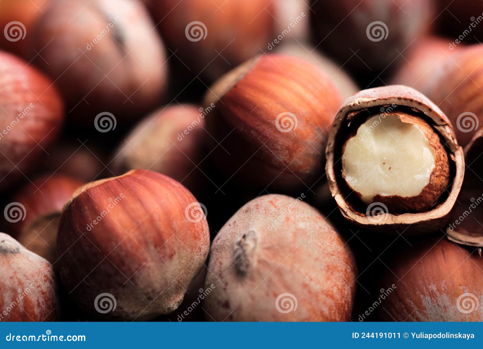 Close-up of Hazelnuts and One of Them are Open Stock Image - Image of ...
