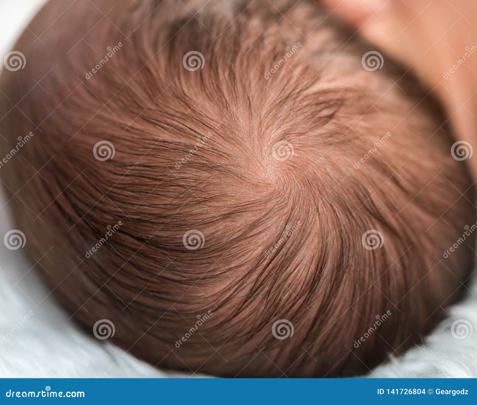 Head of newborn baby stock photo. Image of hair, macro - 141726804