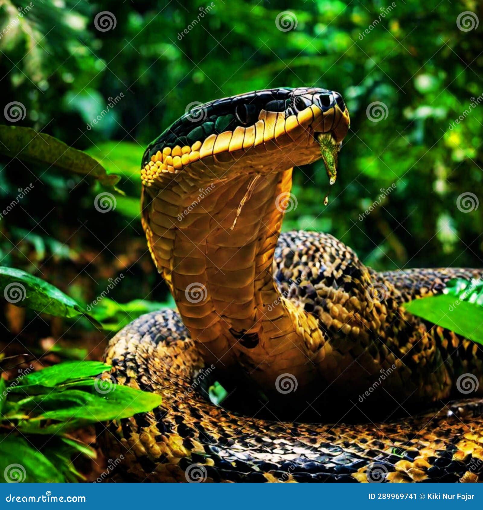 Big Cobra Snake in the Jungle Stock Illustration - Illustration of head ...