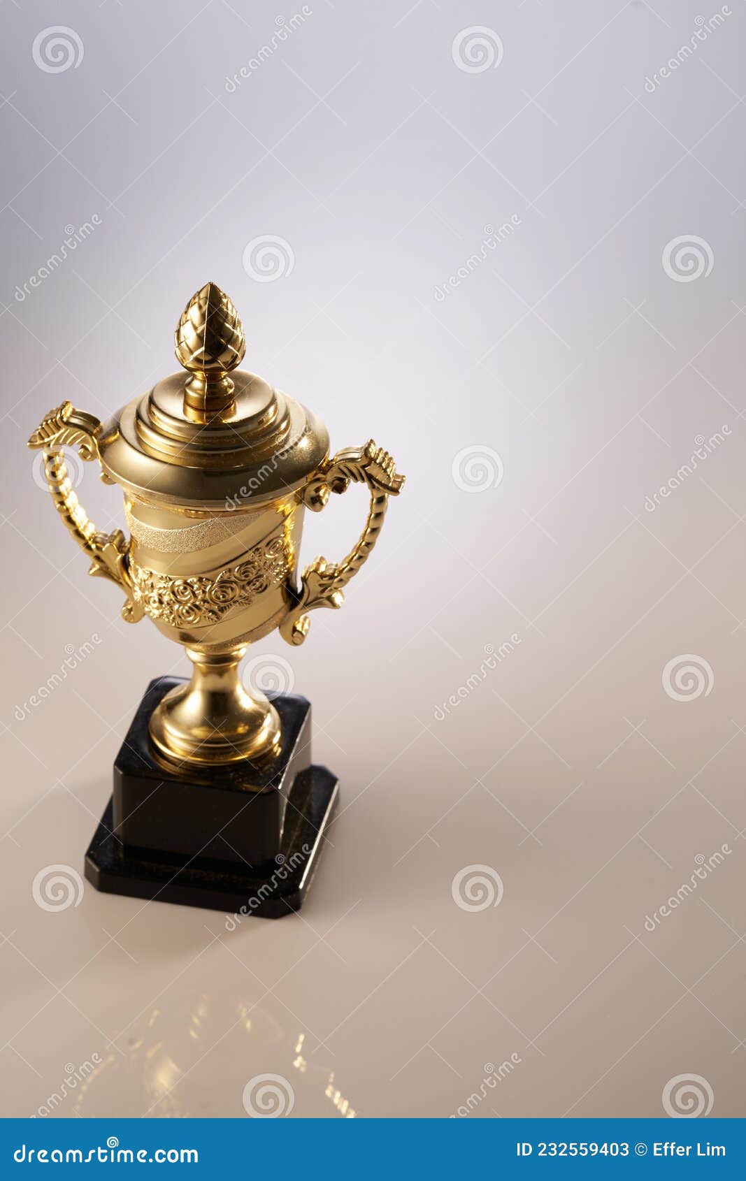 High Angle View of Success Trophy Stock Image - Image of champion ...