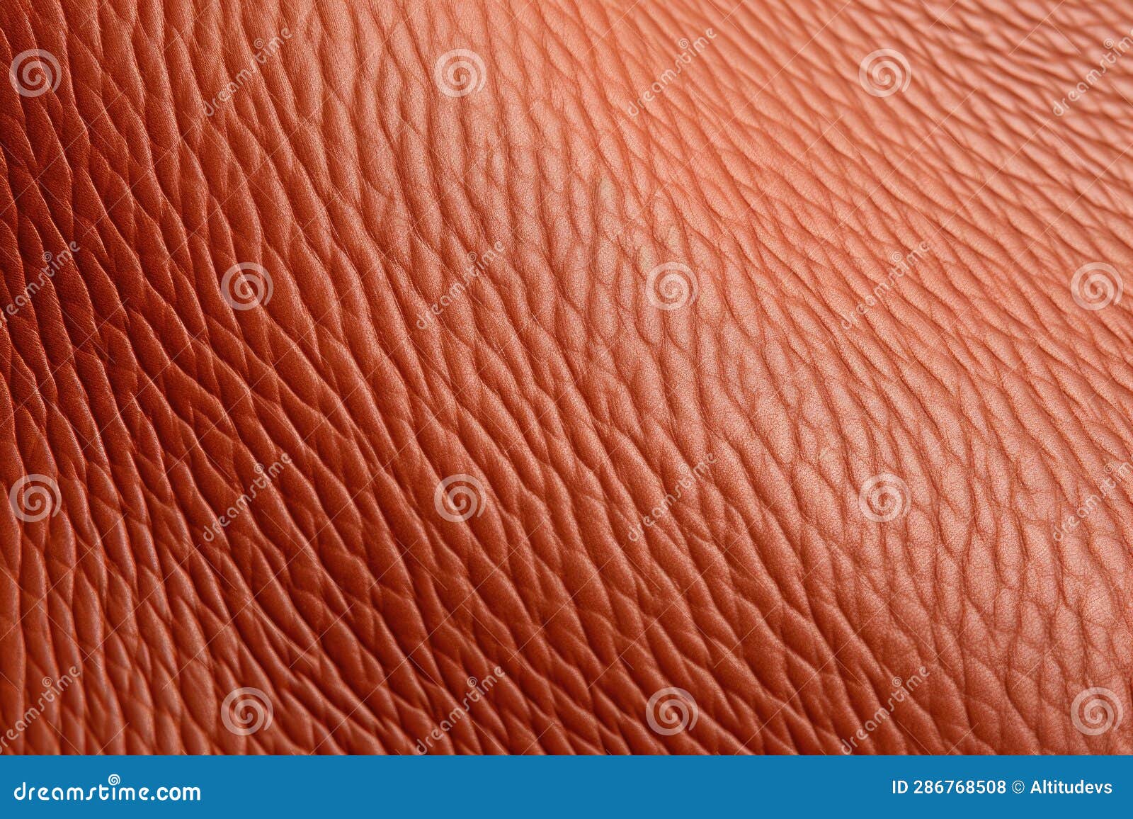 Close-up of High-quality Saddle Leather Texture Stock Photo - Image of ...