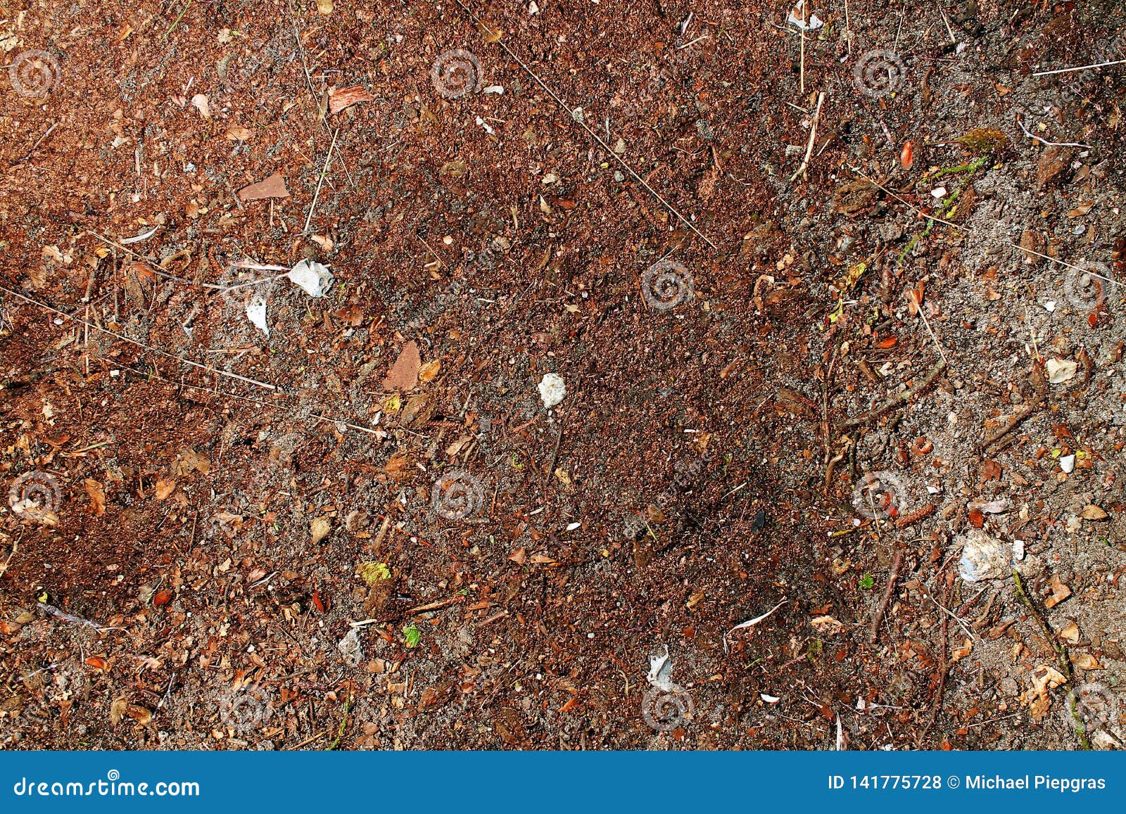 Close Up High Resolution Surface of Forest Ground Stock Photo - Image ...