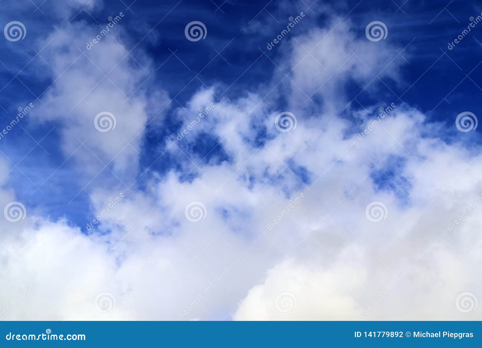 Close Up High Resolution Surface of Forest Ground Stock Photo - Image ...