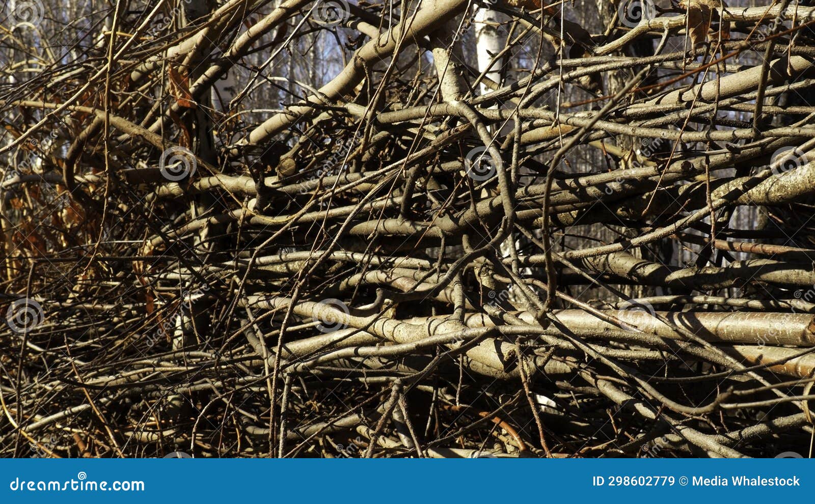 Close Up of Homemade Fence Made of Tree Branches. Media. Stack of Thin ...