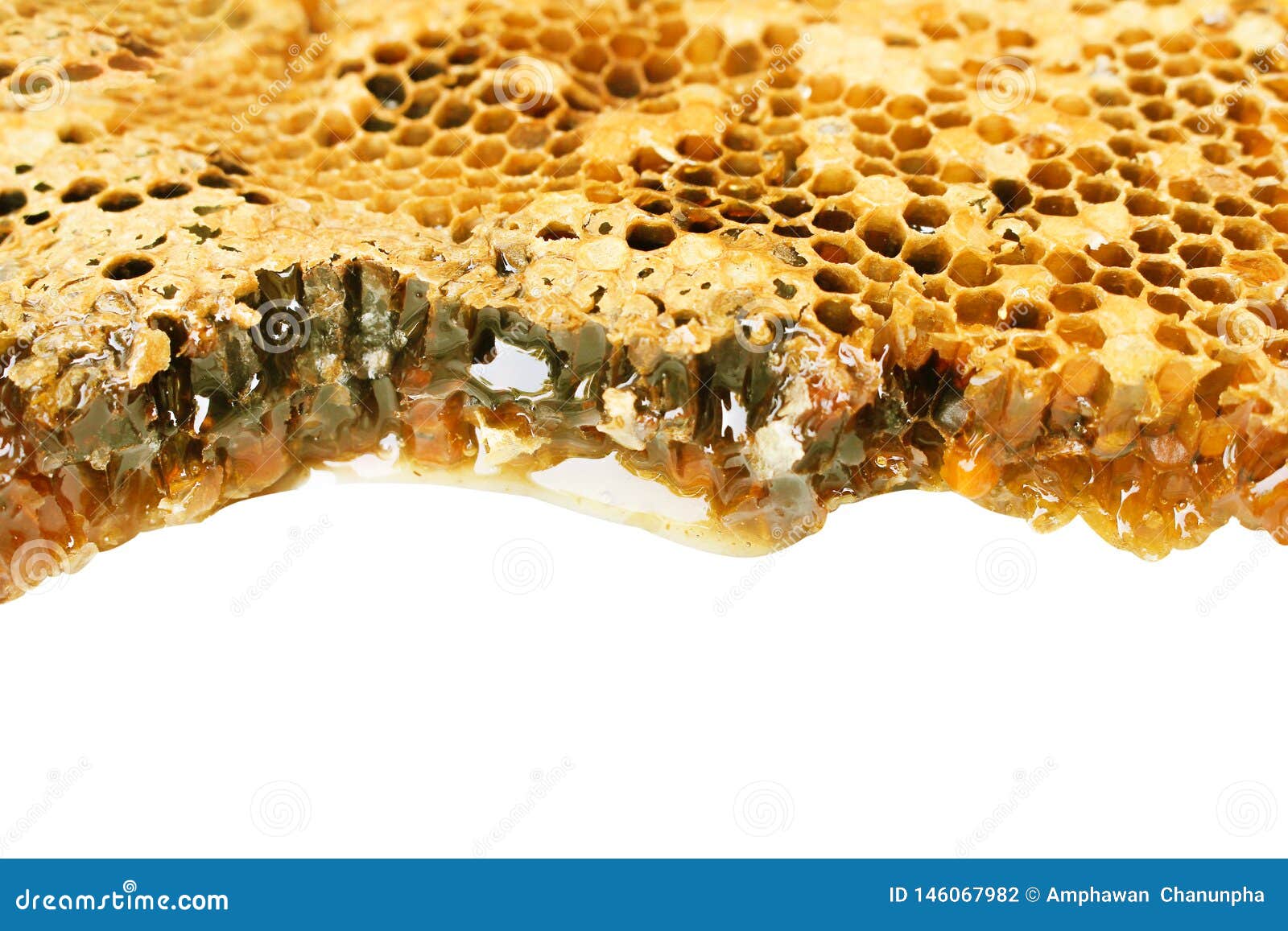 Honeycomb Patterns Texture with Honey Drip Top View Isolated on White ...
