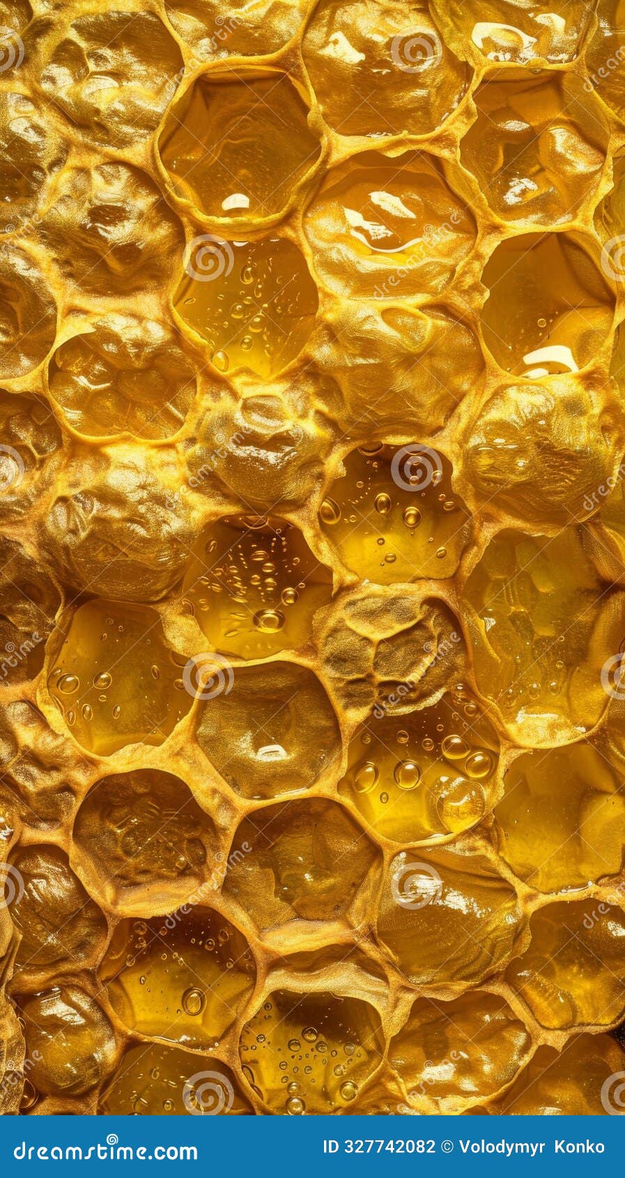Close-up of Honeycomb Structure Filled with Golden Honey Stock Photo ...