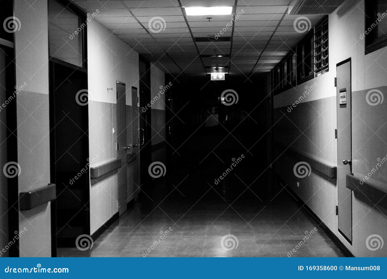 Horror pathway background stock photo. Image of perspective - 169358600