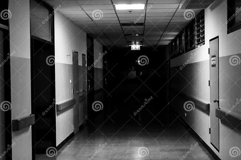 Horror pathway background stock photo. Image of perspective - 169358600