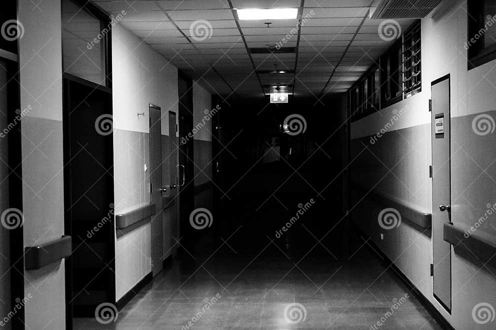Horror pathway background stock photo. Image of perspective - 169358600