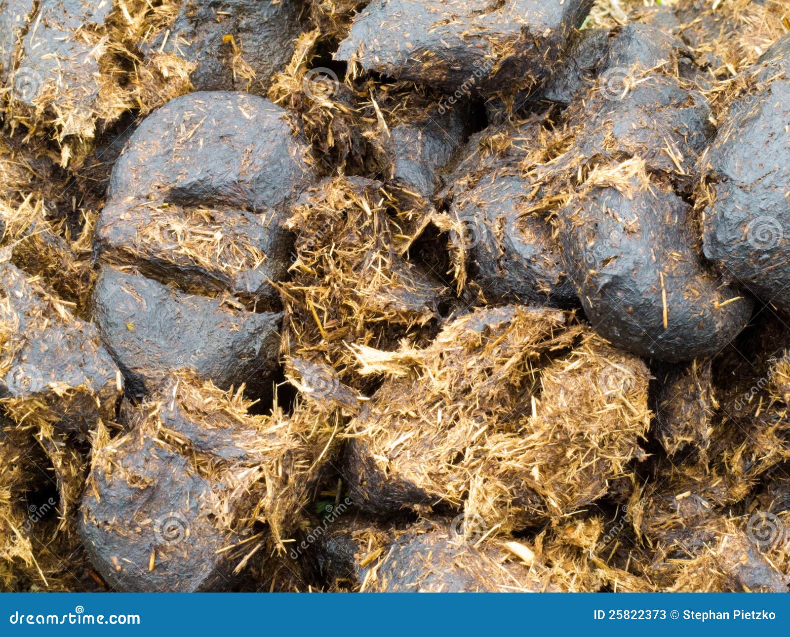 Close-up Horse Manure Background Texture Pattern Stock Image - Image of ...
