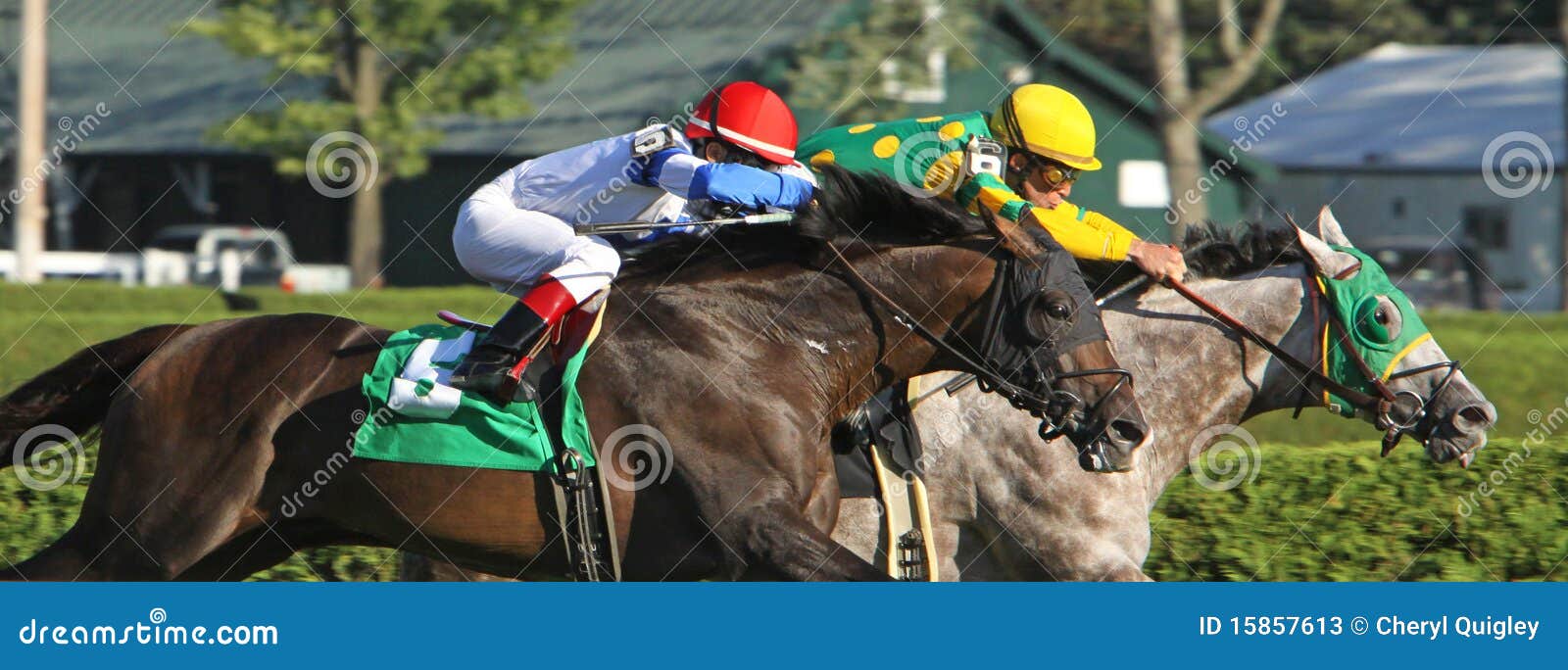 Close Up Horse Race editorial stock photo. Image of compete - 15857613