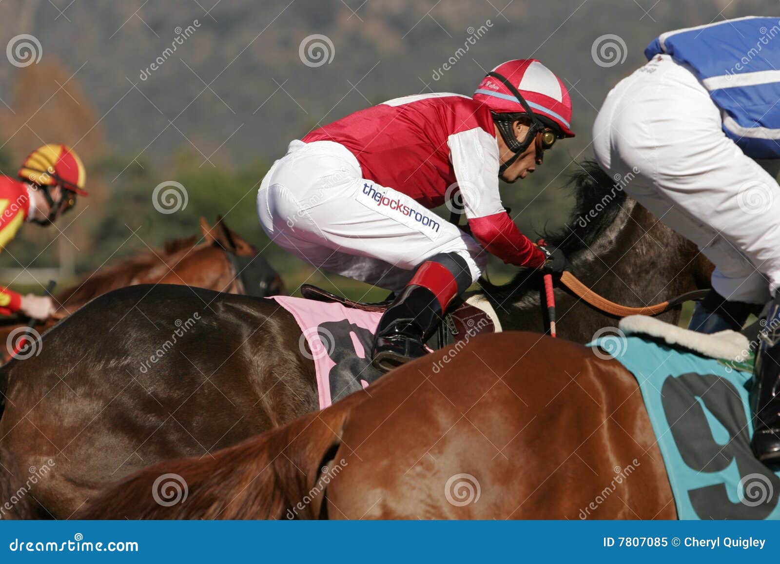 Close-Up of Horse Race editorial image. Image of power - 7807085