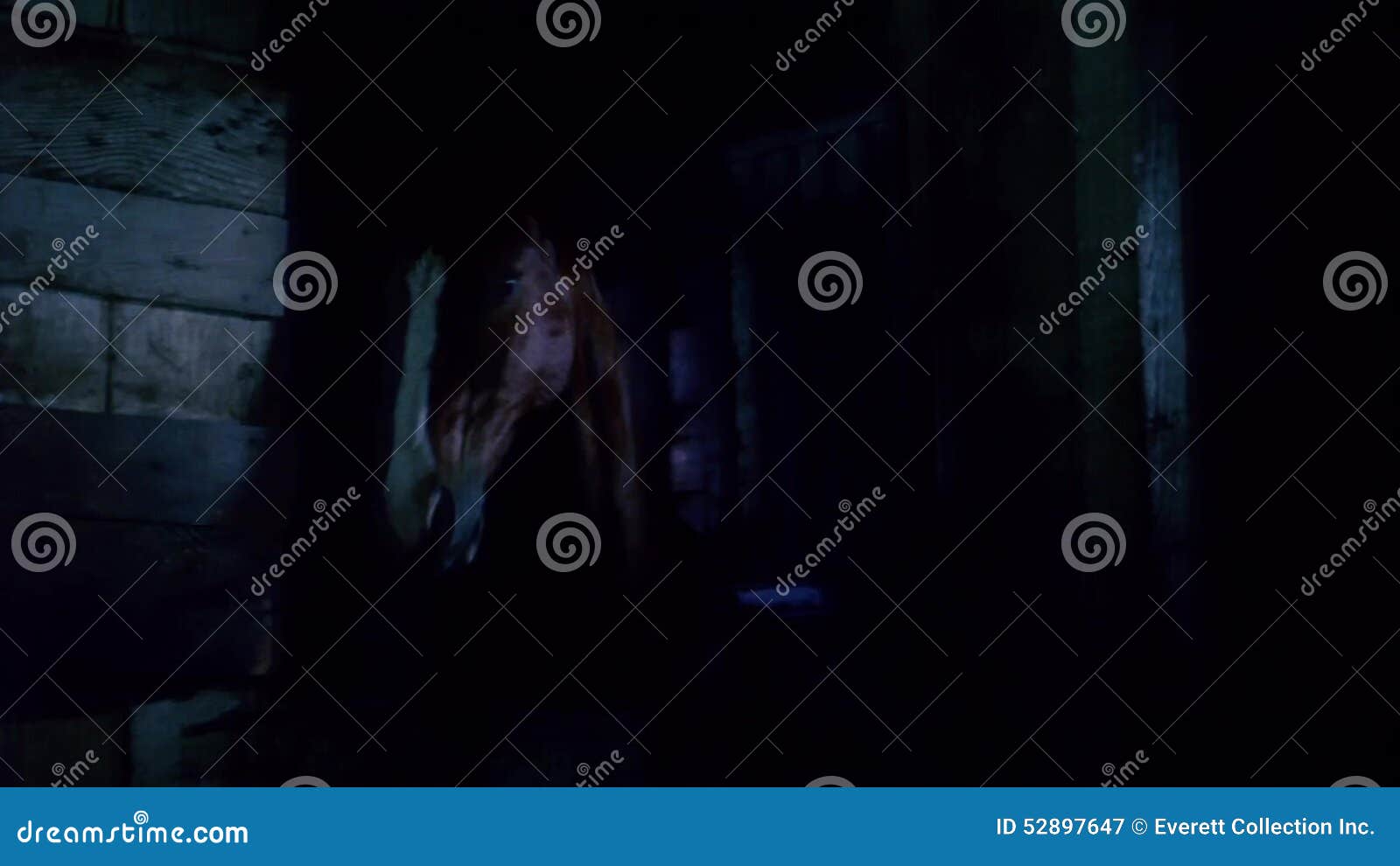 Close-up of Horses in Stable at Night Stock Video - Video of retro ...