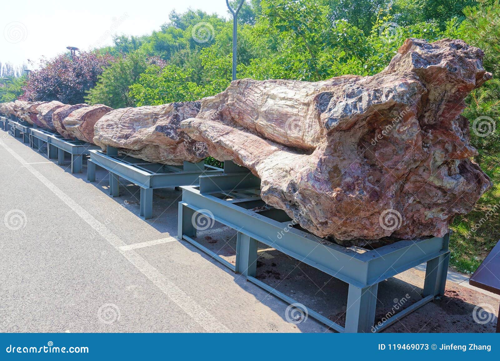 Tree trunk fossil stock image. Image of ancient, fossil - 119469073