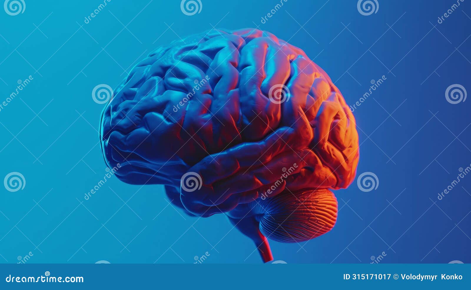 Close Up of Human Brain on Blue Background Stock Image - Image of human ...