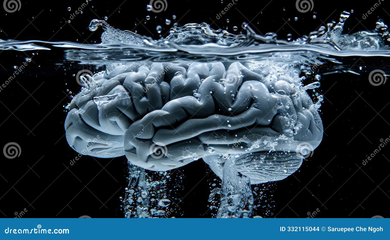 CloseUp of a Human Brain Submerged in Water with Splashing Effect on ...