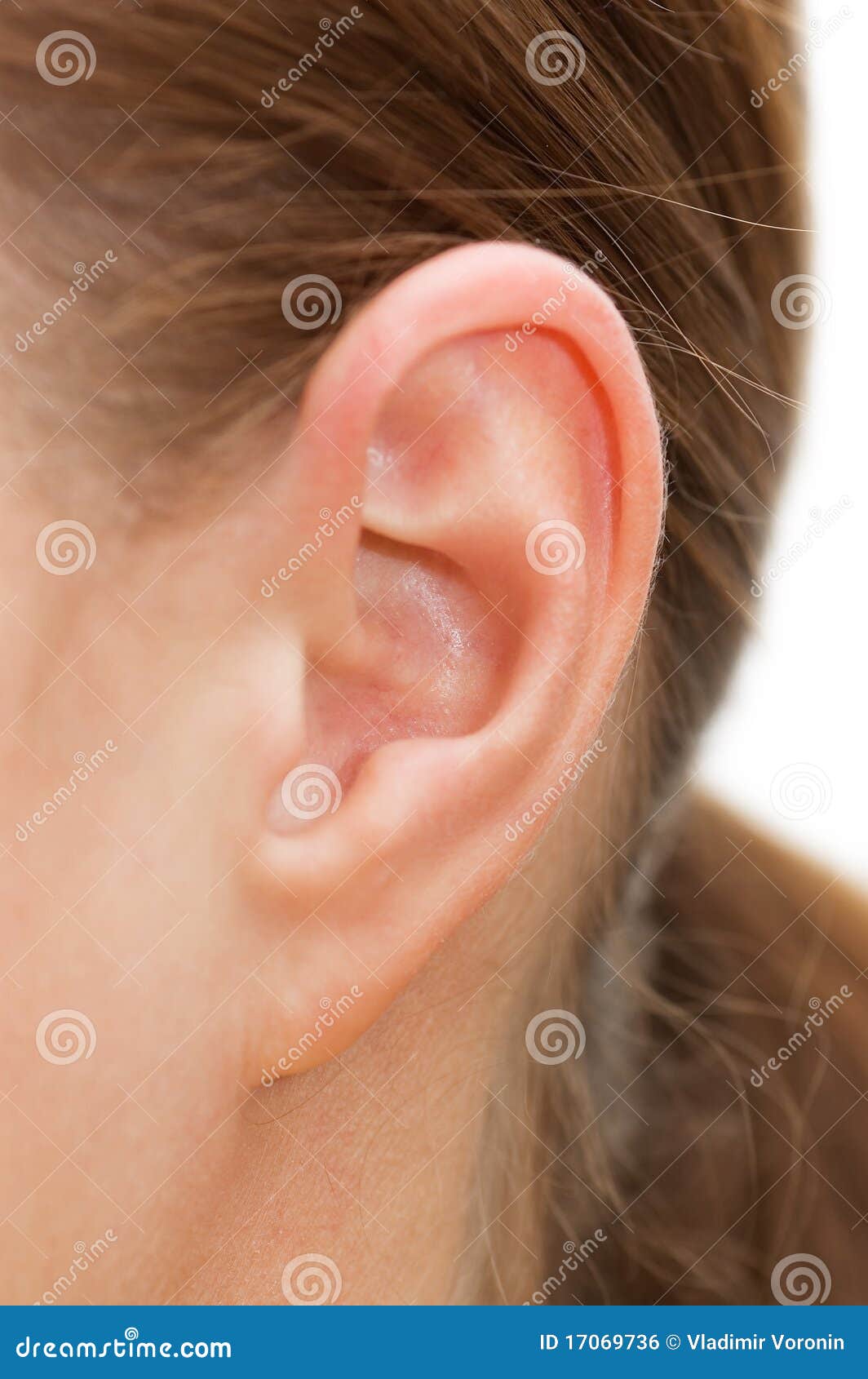 Close up of a human ear stock photo. Image of beeswax - 17069736