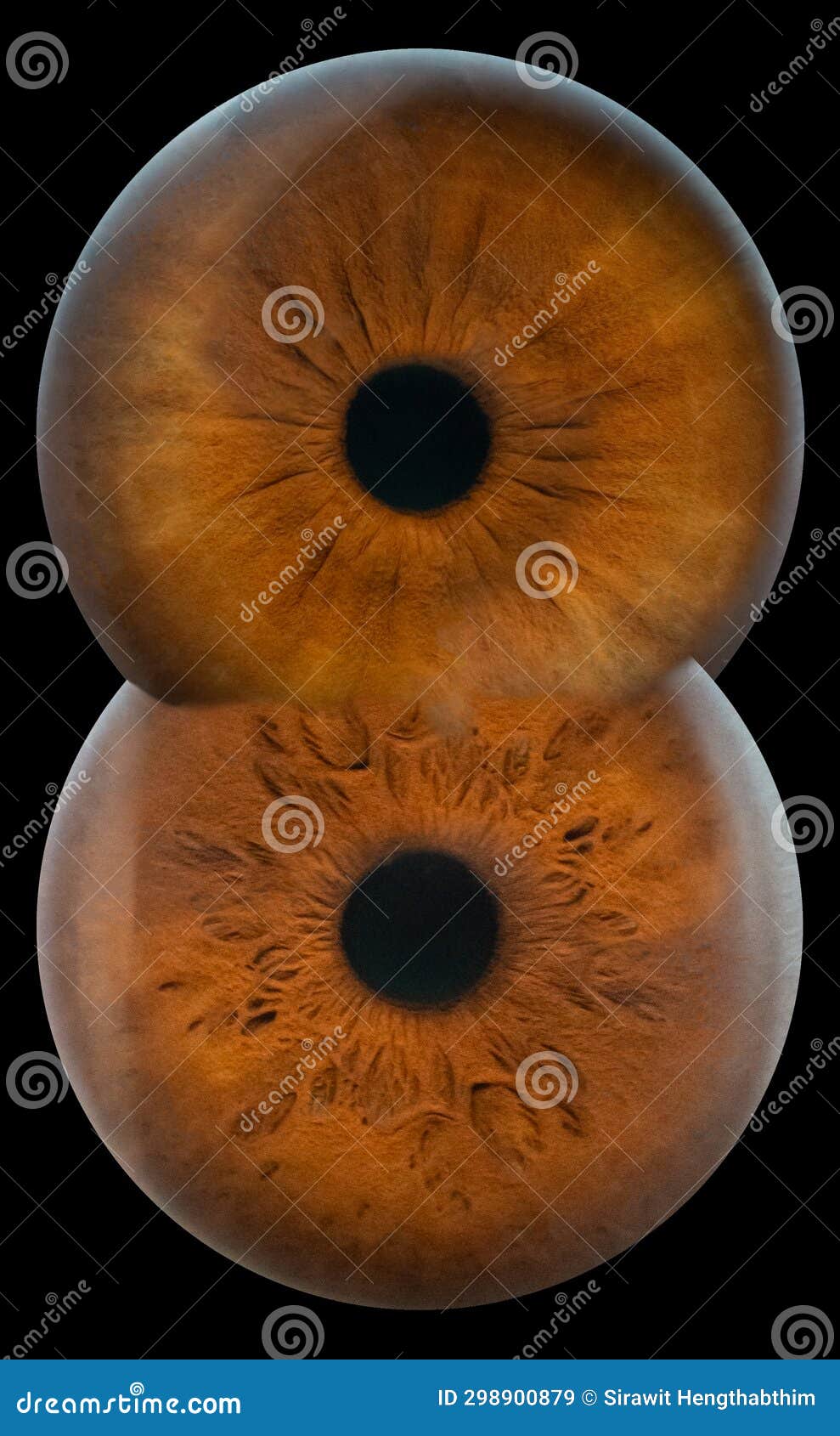 Close Up of Human Eye Iris Brown Color Details on Black Background ...