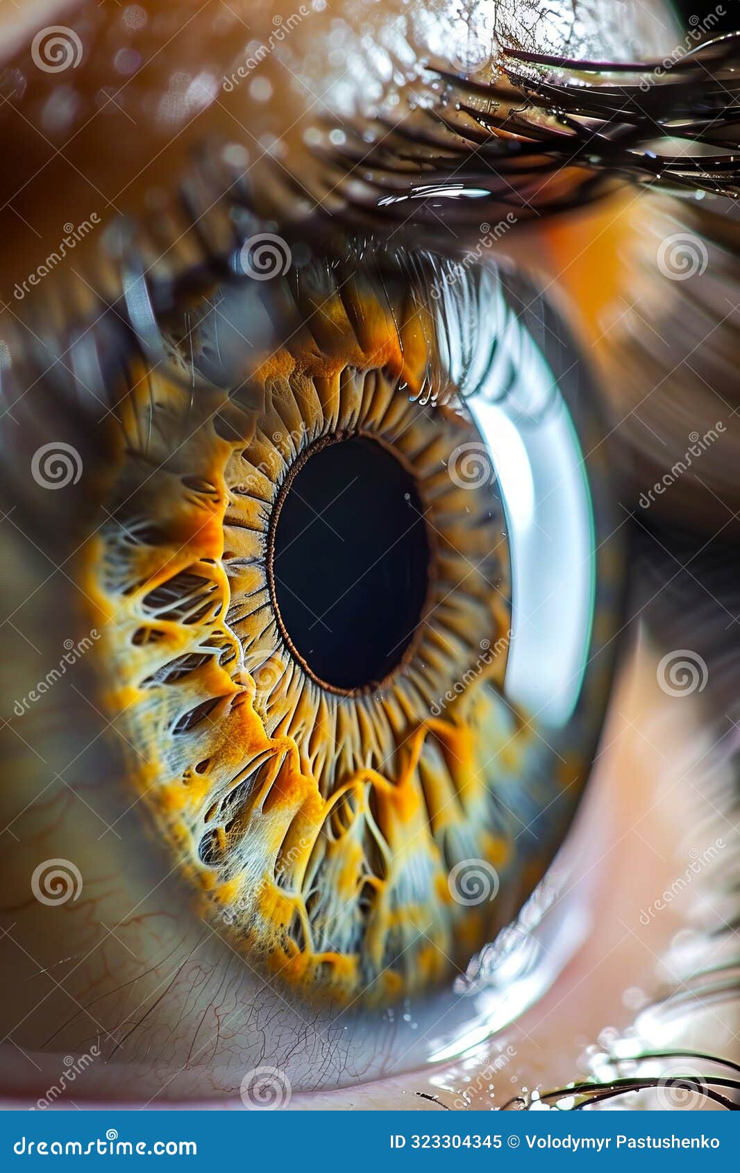 A Close Up of a Human Eye with Orange Iris Stock Image - Image of lens ...