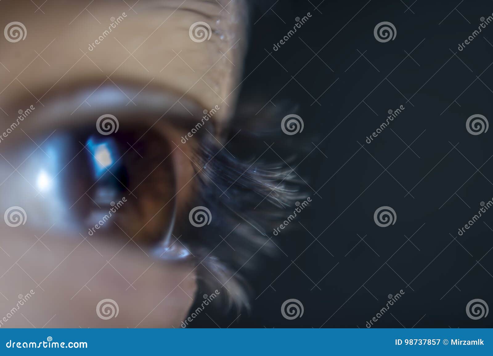 Human eye. stock image. Image of optometry, natural, person - 98737857