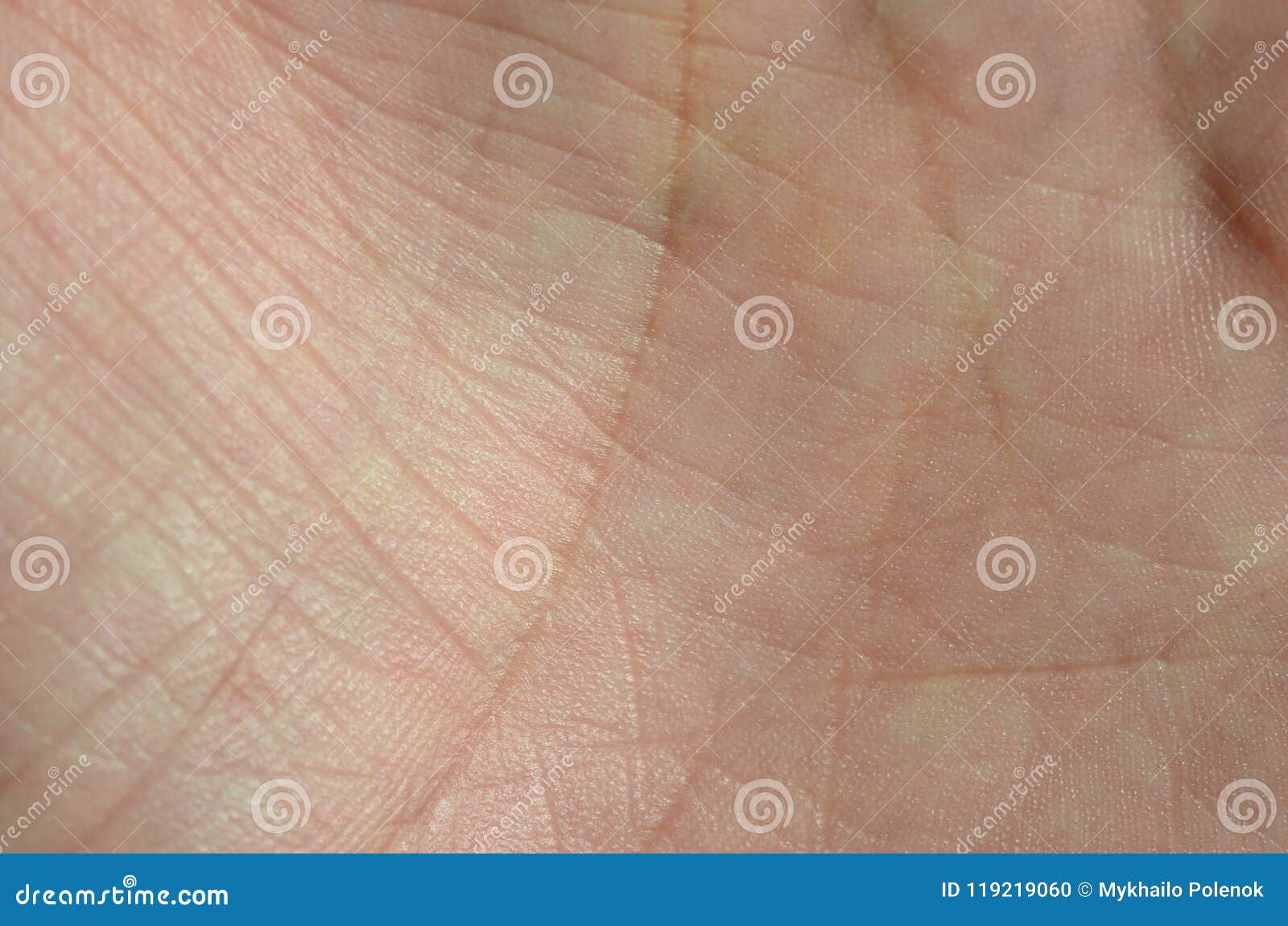 Close Up of Human Hand Skin with Visible Skin Texture and Lines Stock ...