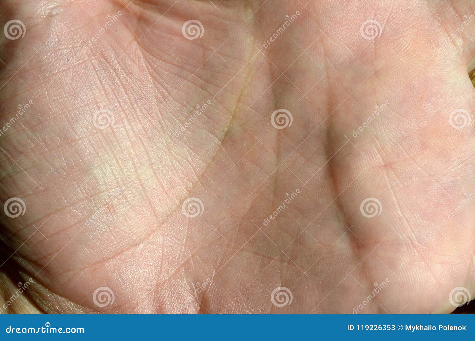 Close Up of Human Hand Skin with Visible Skin Texture and Lines Stock ...