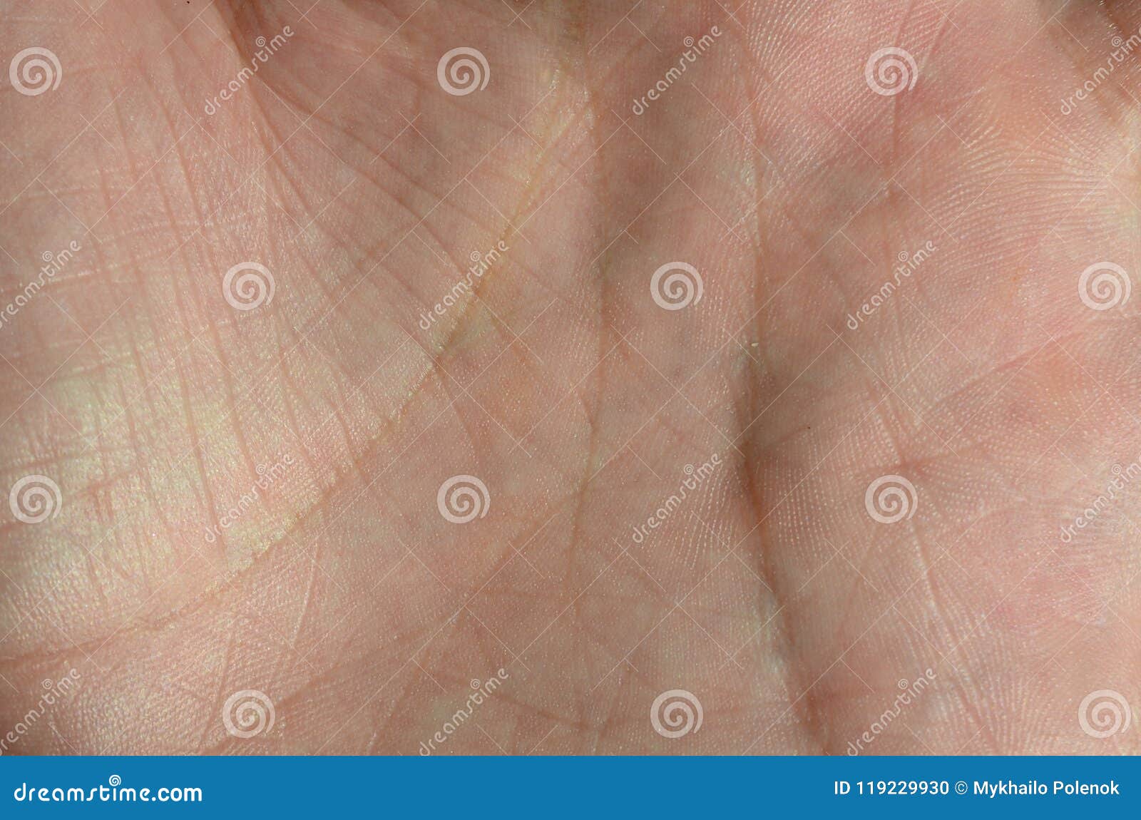 Close Up of Human Hand Skin with Visible Skin Texture and Lines Stock ...
