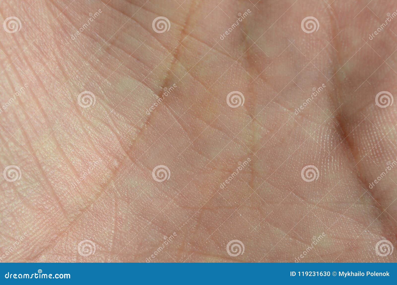 Close Up of Human Hand Skin with Visible Skin Texture and Lines Stock ...