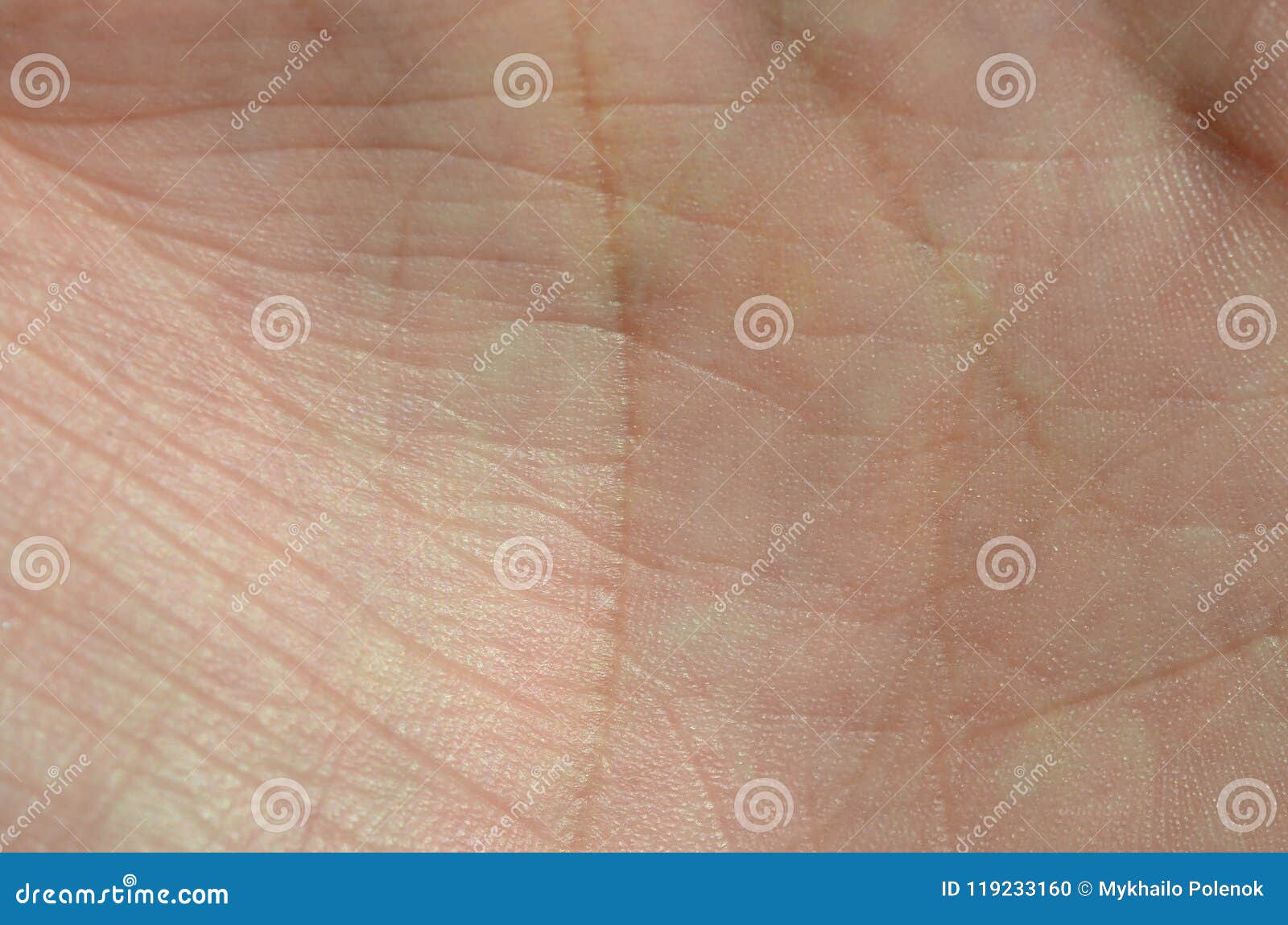 Close Up of Human Hand Skin with Visible Skin Texture and Lines Stock ...