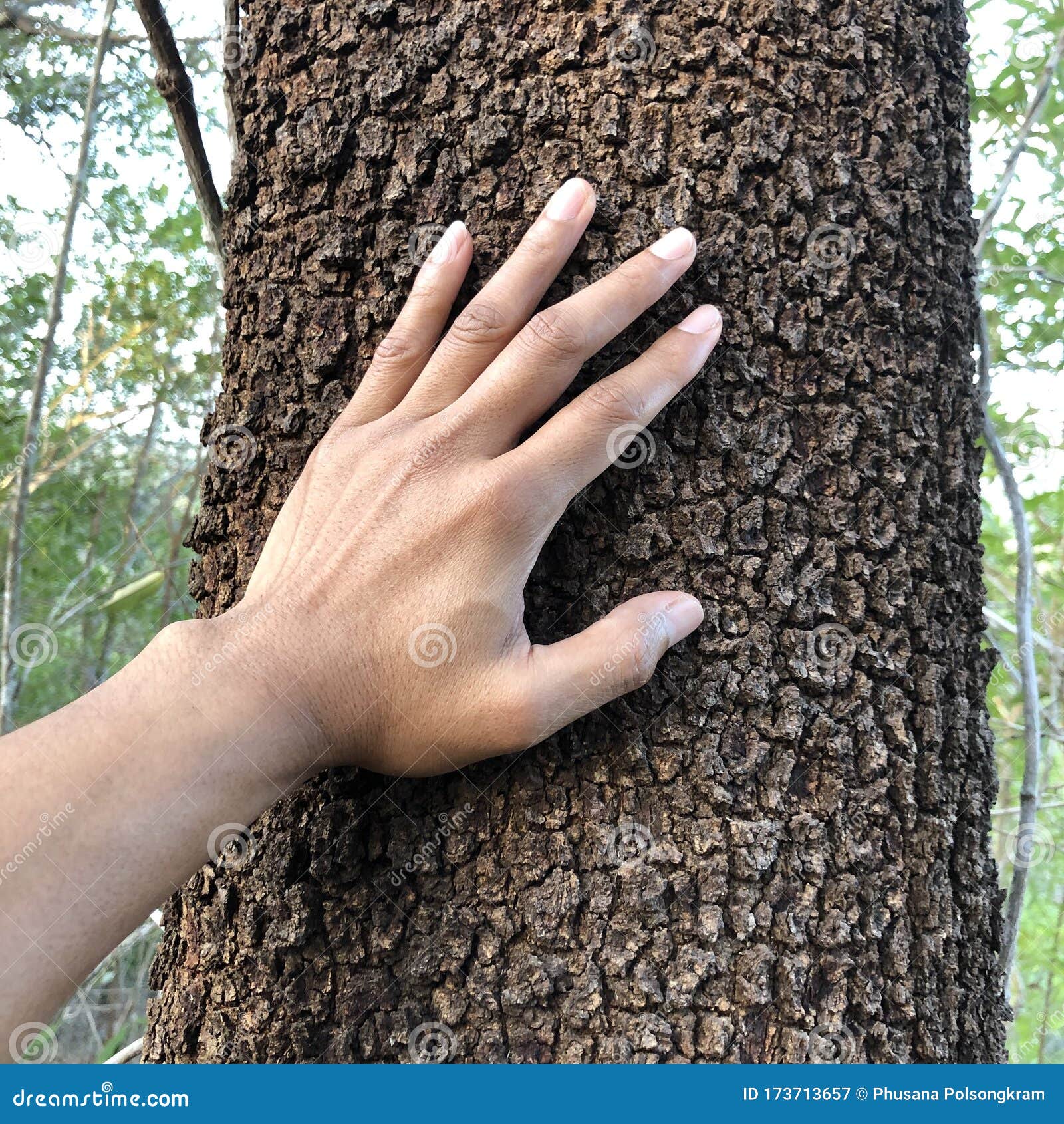 Close Up Human Hand Touching Tree Bark Stock Image - Image of life ...