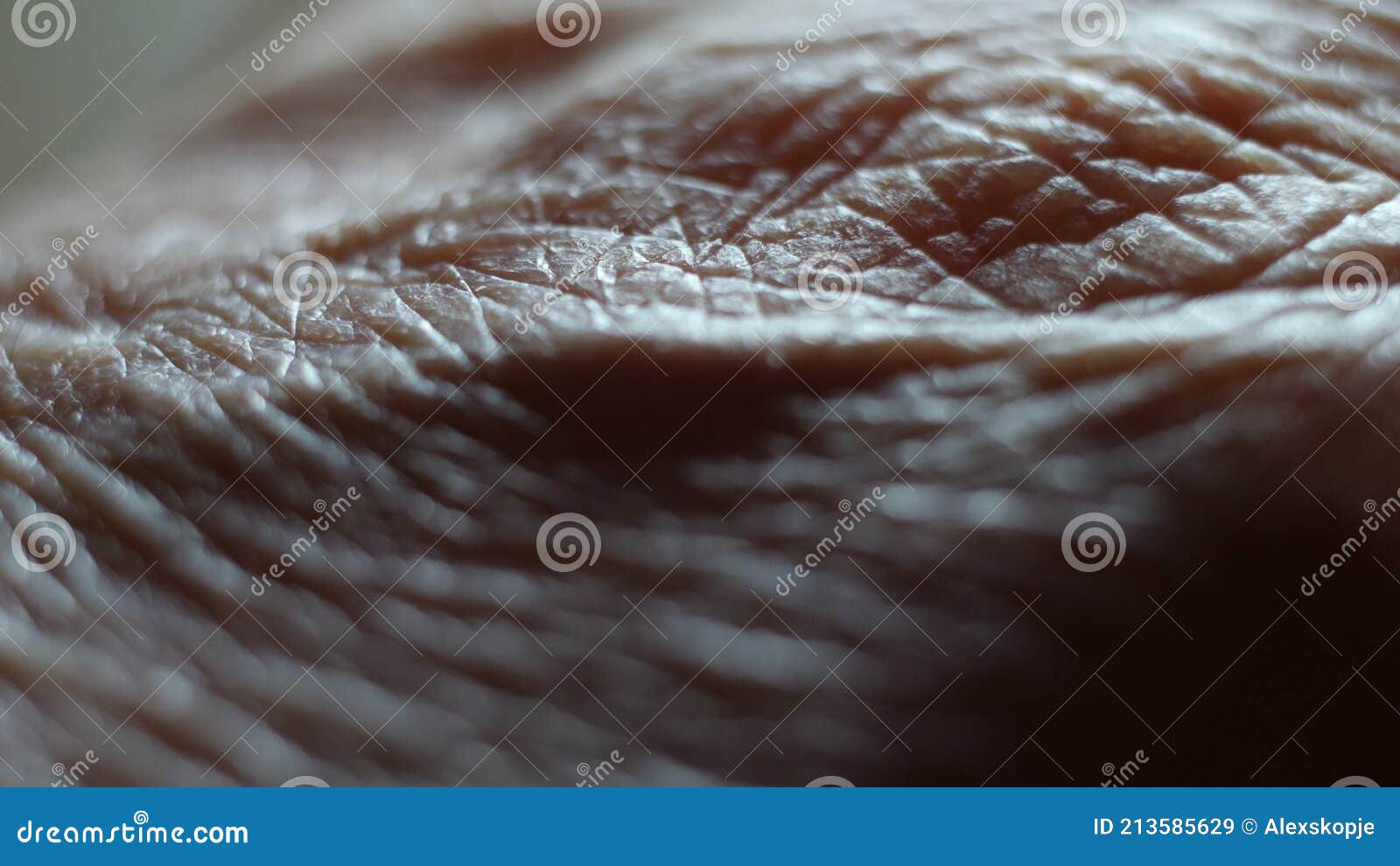 Close up of human skin stock image. Image of macro, health - 213585629