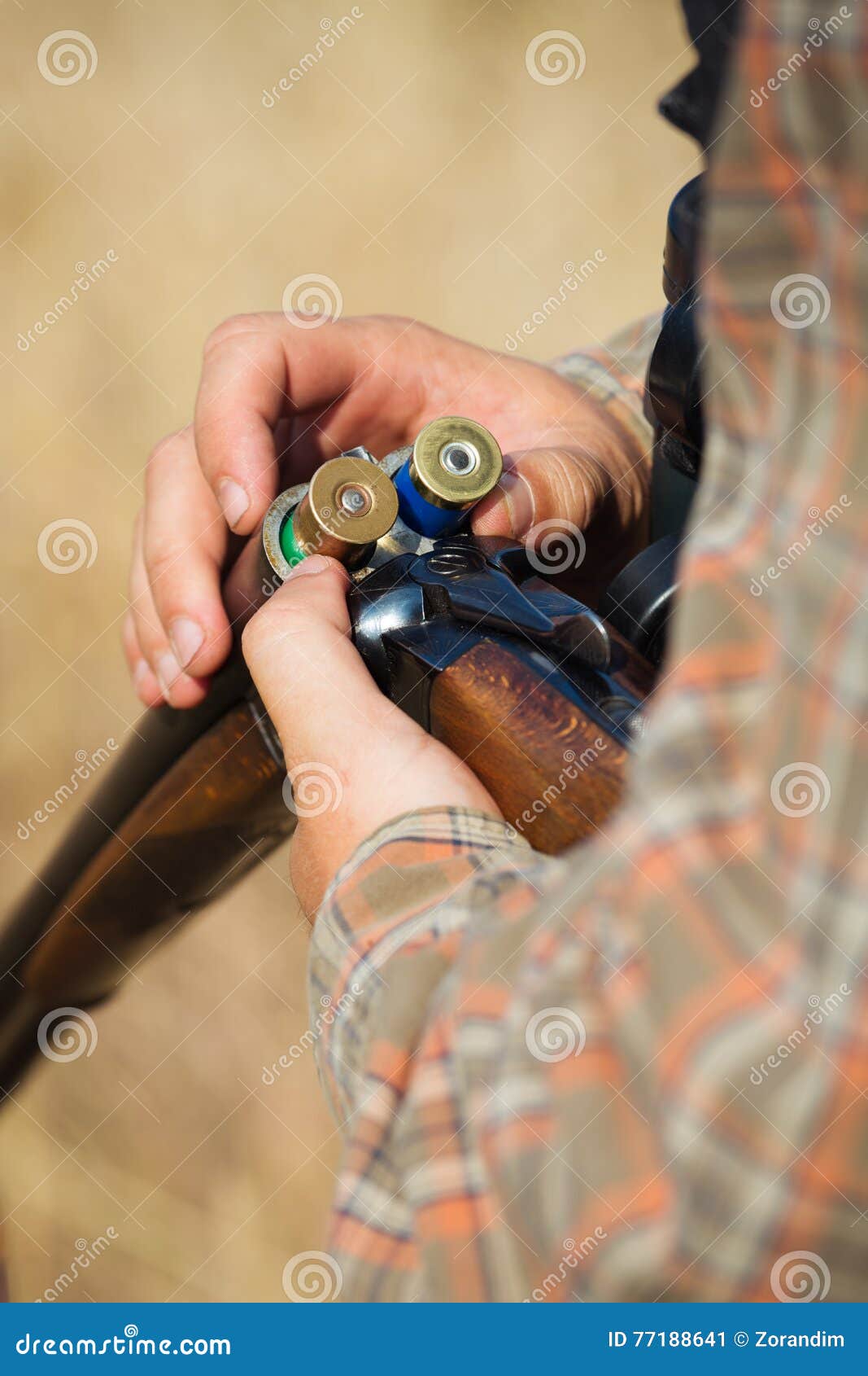 Close-up of a Hunter Loading His Shotgun Stock Image - Image of opening ...