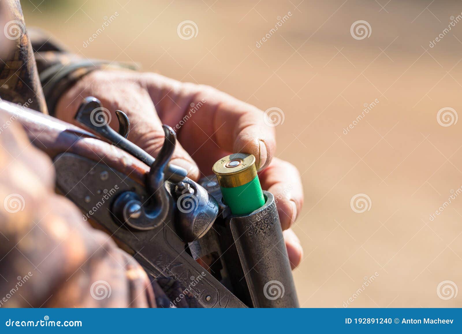 Close Up of Hunter Loading Shotgun, Holds a Gun and Ammunition Stock ...