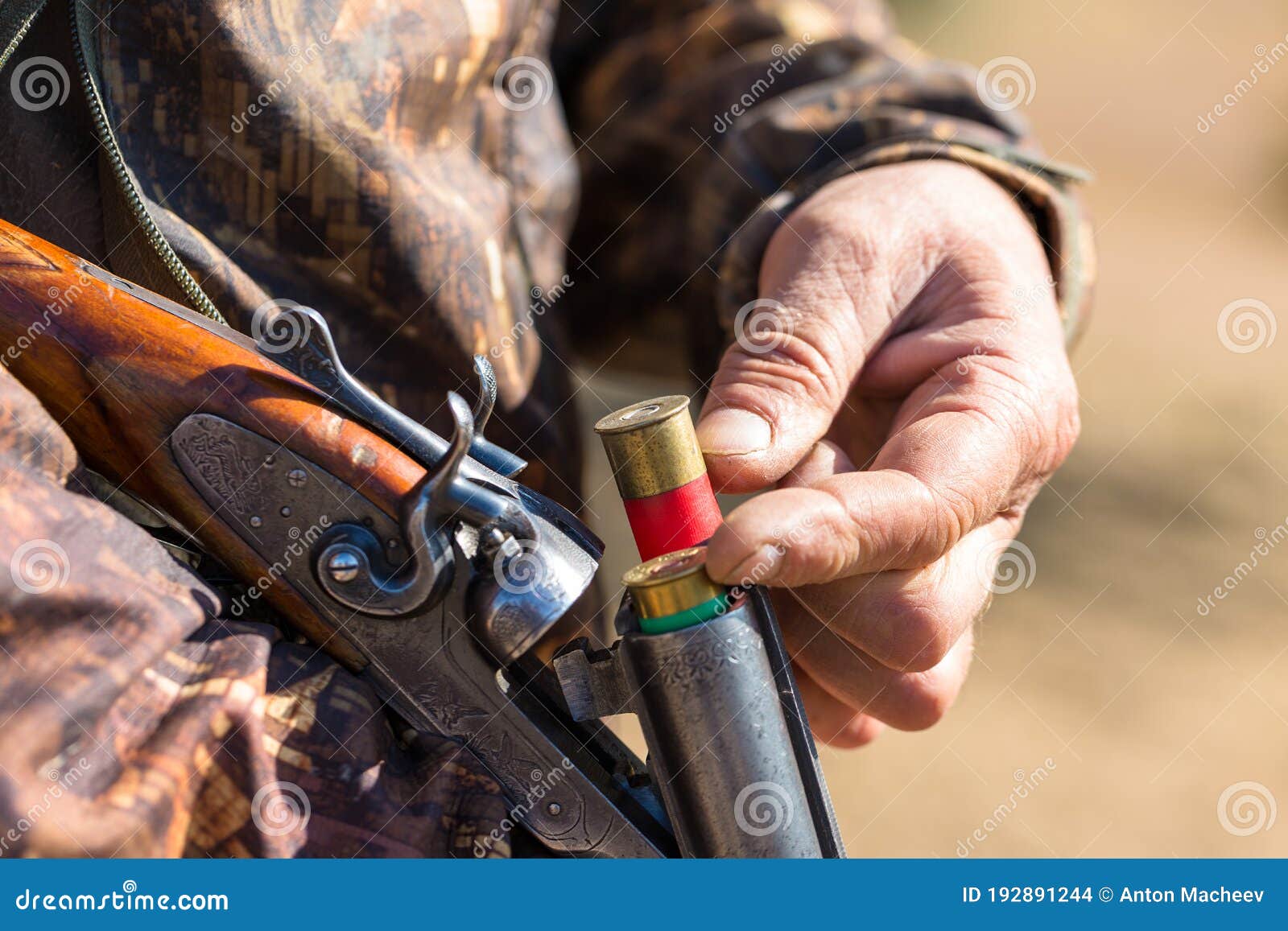 Close Up of Hunter Loading Shotgun, Holds a Gun and Ammunition Stock ...