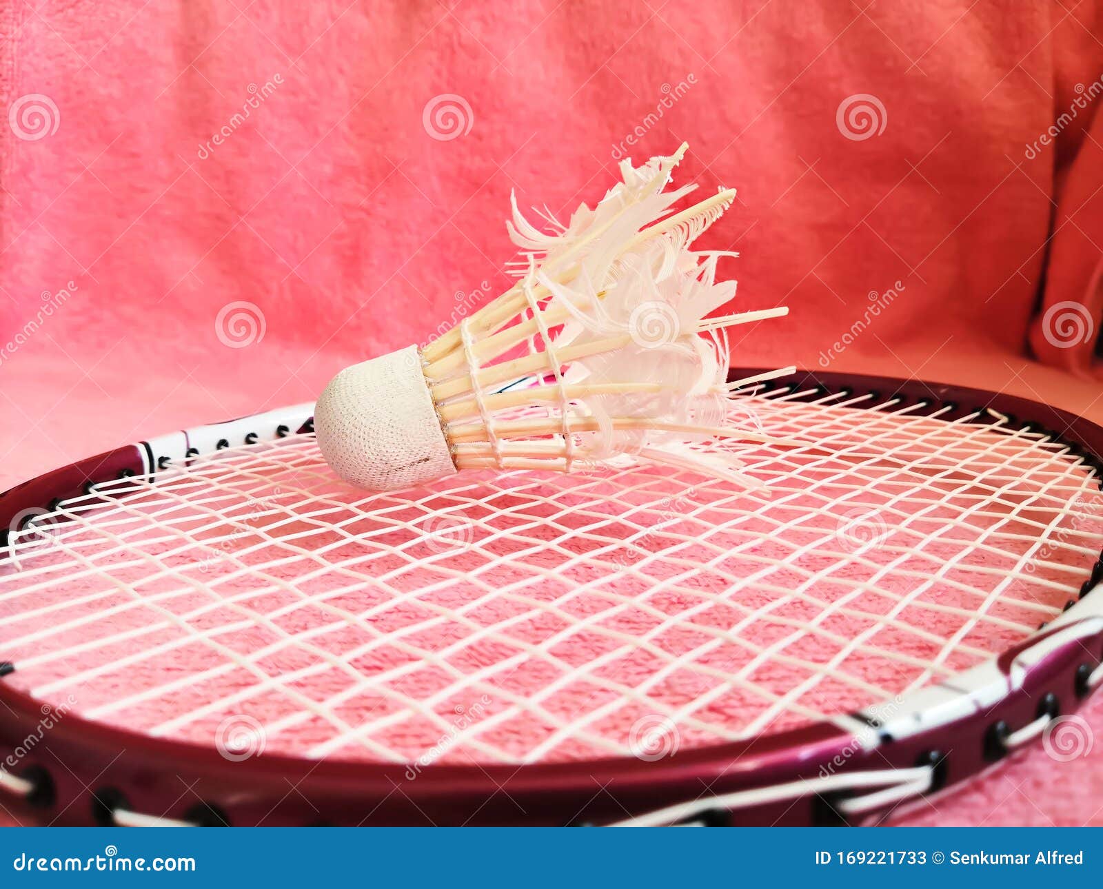 Badminton Shuttlecock and Bat Stock Image - Image of tennis, fitness ...