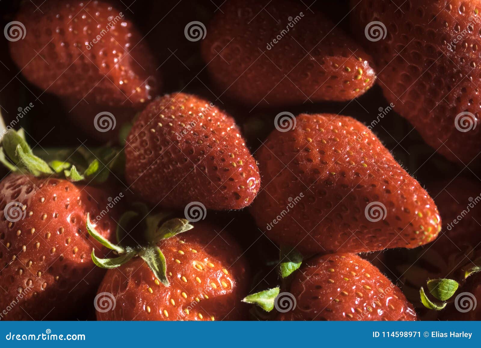 Close-Up of Strawberries with Dramatic Lighting Stock Image - Image of ...
