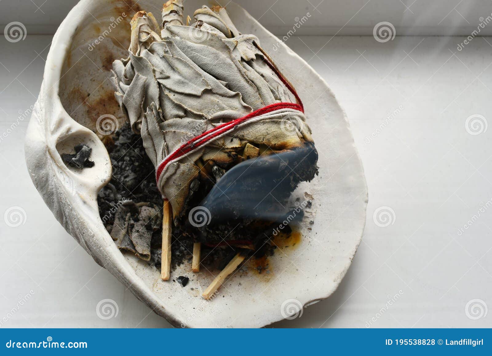 Burning White Sage Bundle stock photo. Image of plant - 195538828