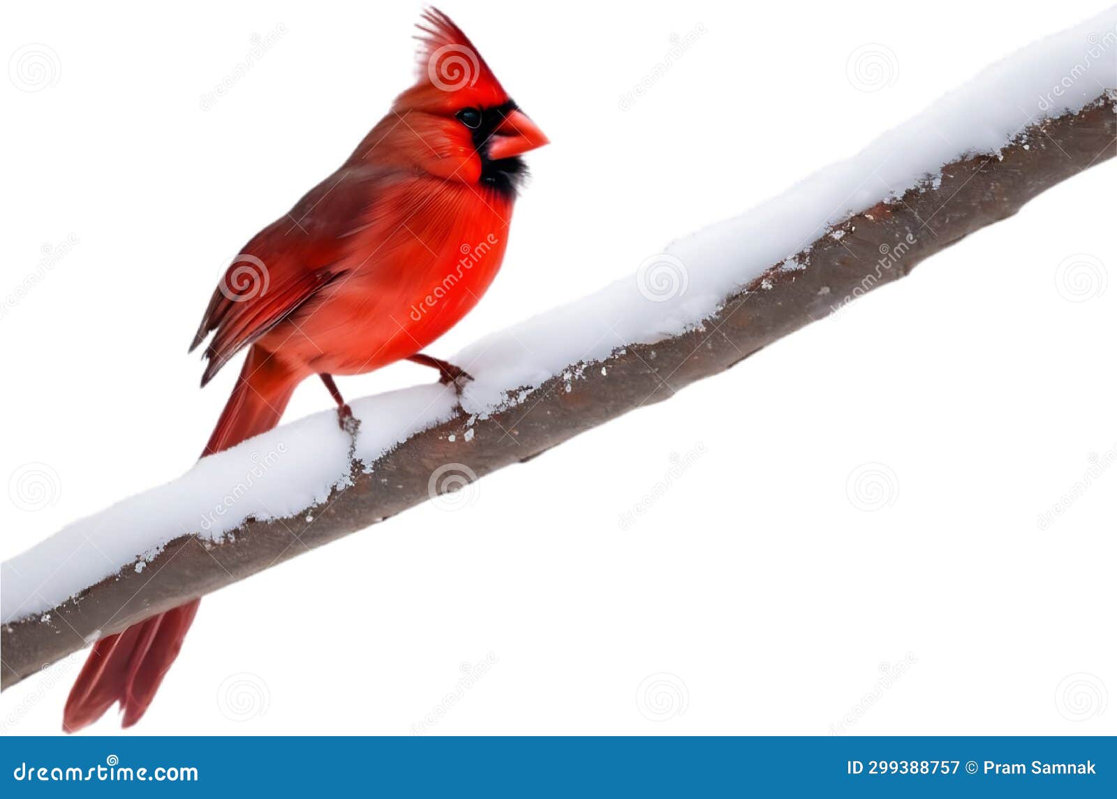 A Close-up Image of a Cardinal in Winter. Ai-generated. Stock ...